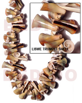 Shell Beads Strands Components Liswe Trumpet Shell